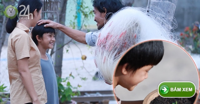 Xúc động với phim Tết "Mầm lộc an lành”