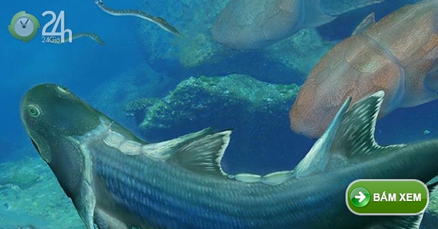 Tìm thấy hóa thạch cá "bọc thép" 420 triệu năm ở TQ