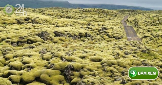 Cánh đồng dung nham như trên hành tinh khác ở Iceland